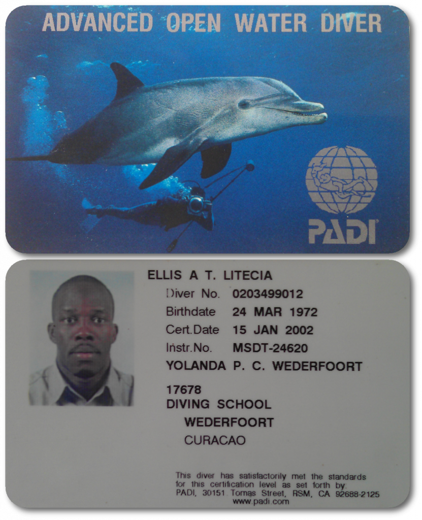 Sublime diving | Sublime diving